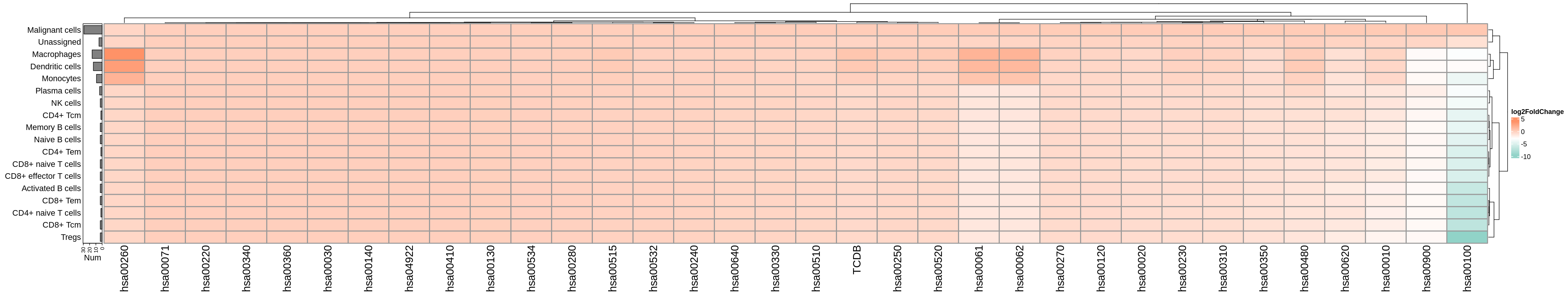 Metabolic Reprogramming - Cancer Single-cell Expression Map - National Genomics Data Center ...