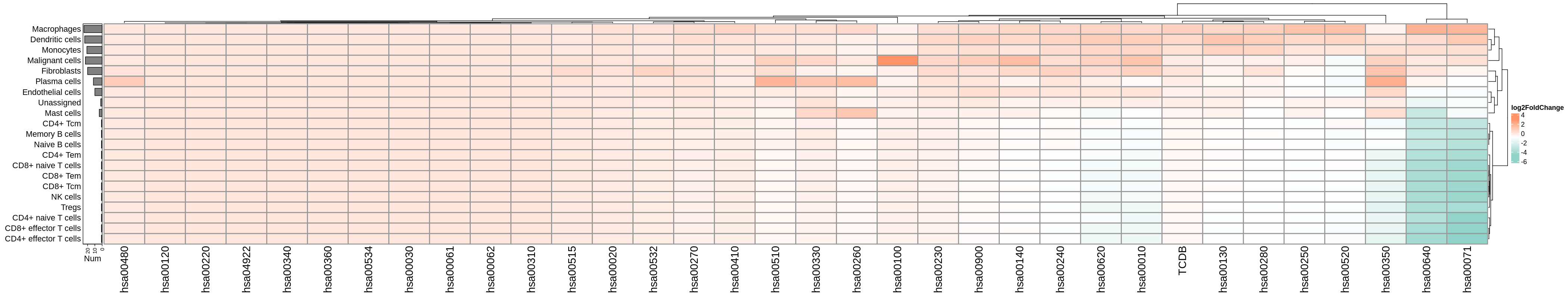 Metabolic Reprogramming - Cancer Single-cell Expression Map - National ...