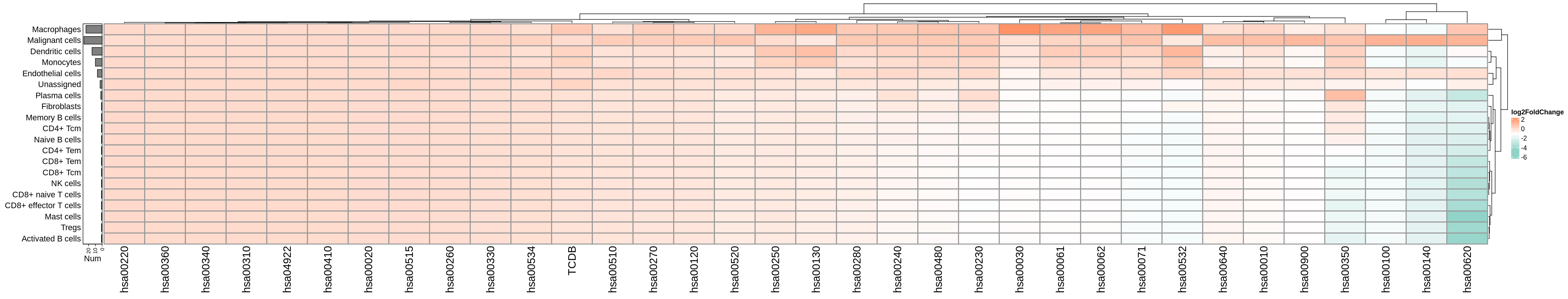 Metabolic Reprogramming - Cancer Single-cell Expression Map - National ...