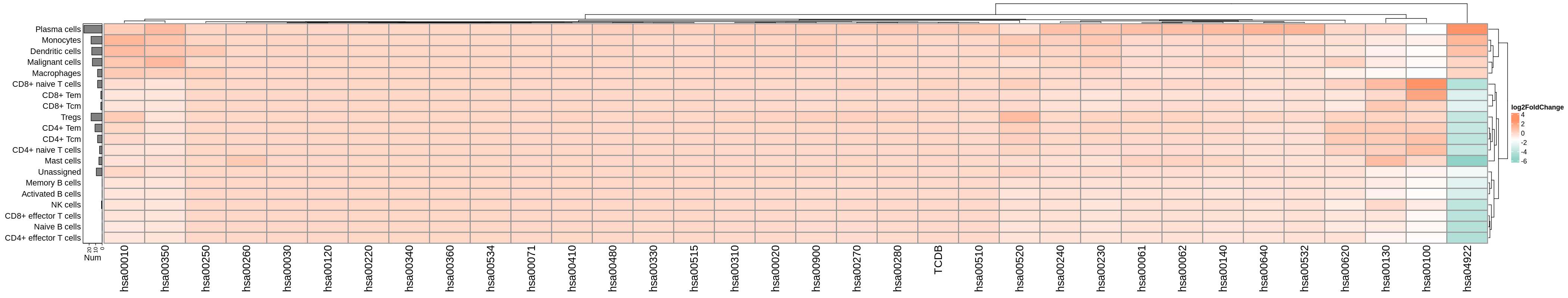 Metabolic Reprogramming - Cancer Single-cell Expression Map - National Genomics Data Center ...
