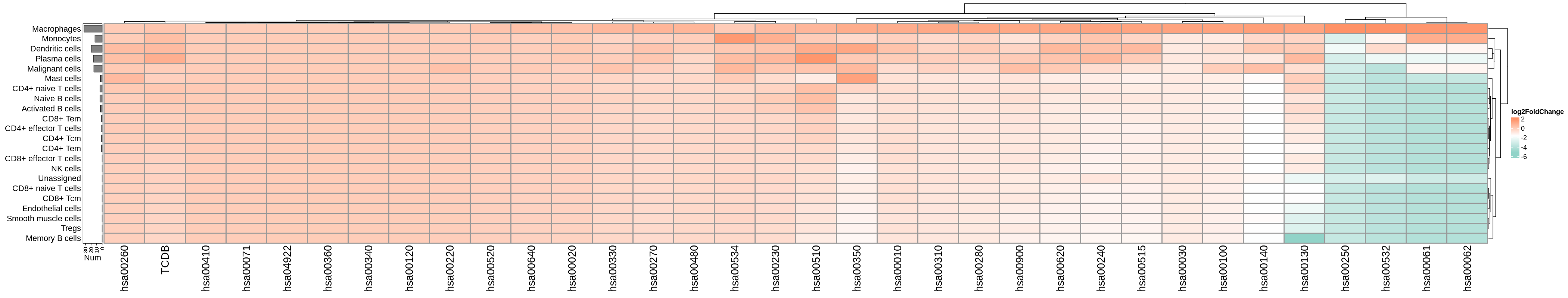 Metabolic Reprogramming - Cancer Single-cell Expression Map - National ...
