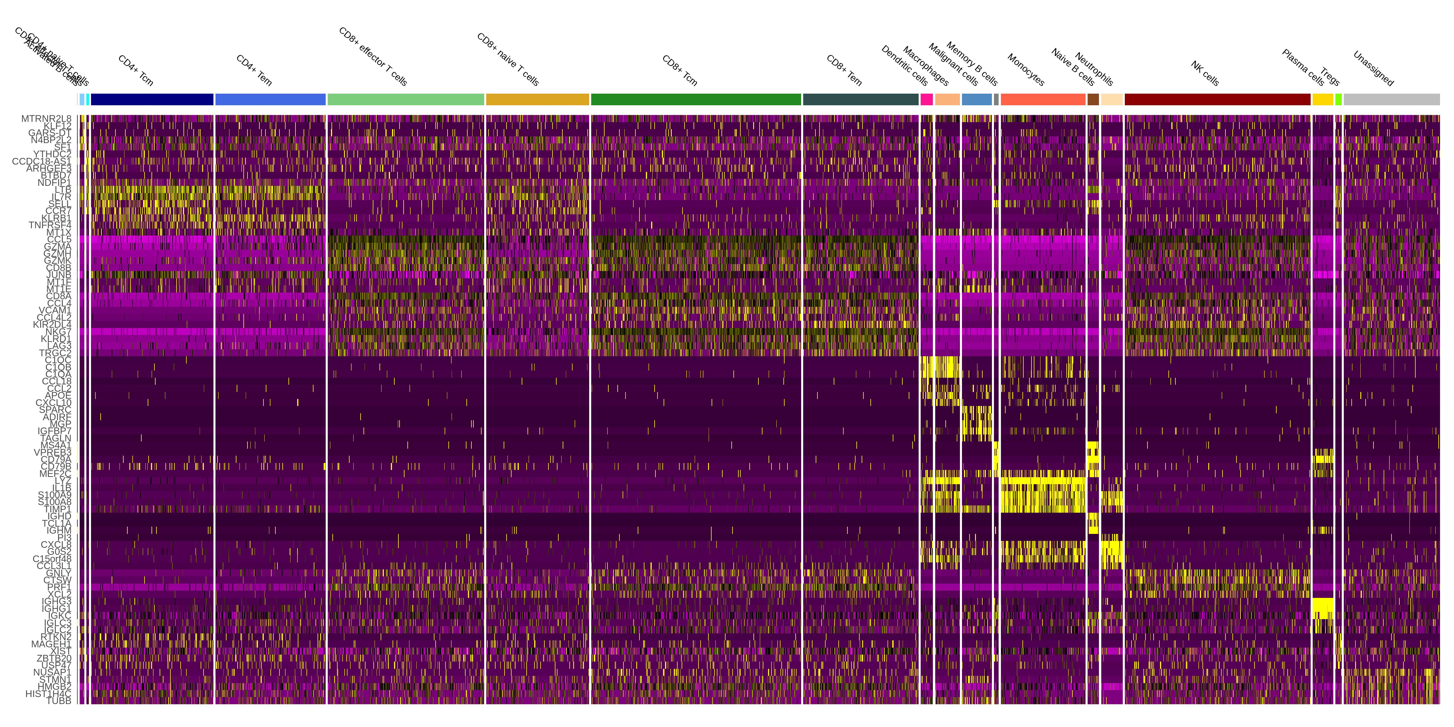 Project Analysis - Cancer Single-cell Expression Map - CNCB-NGDC
