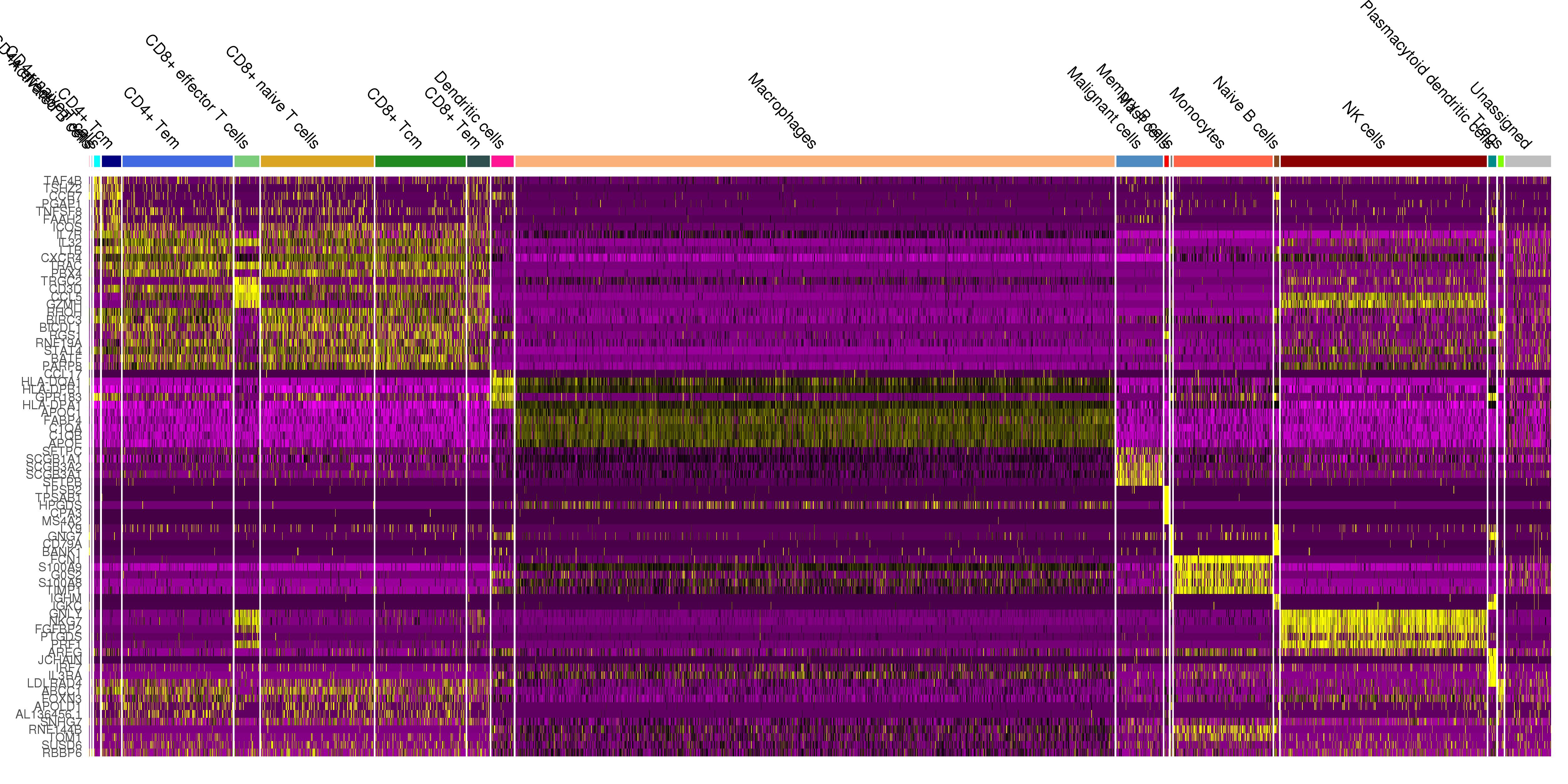 Project Analysis - Cancer Single-cell Expression Map - CNCB-NGDC