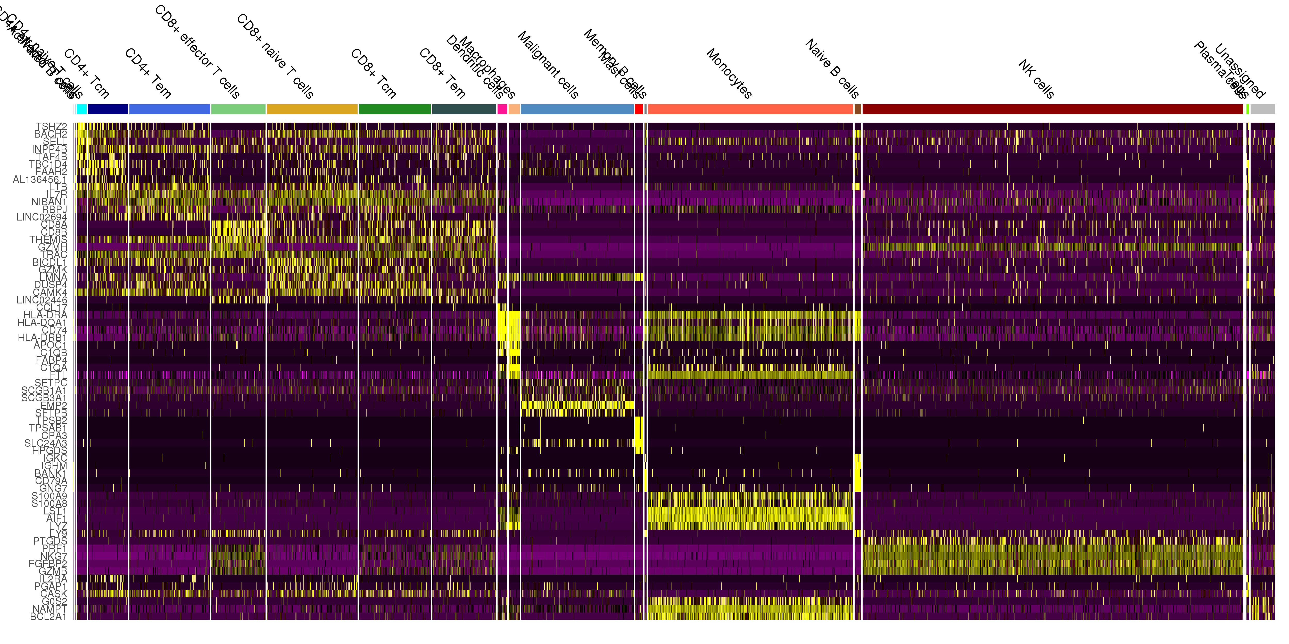 Project Analysis - Cancer Single-cell Expression Map - CNCB-NGDC