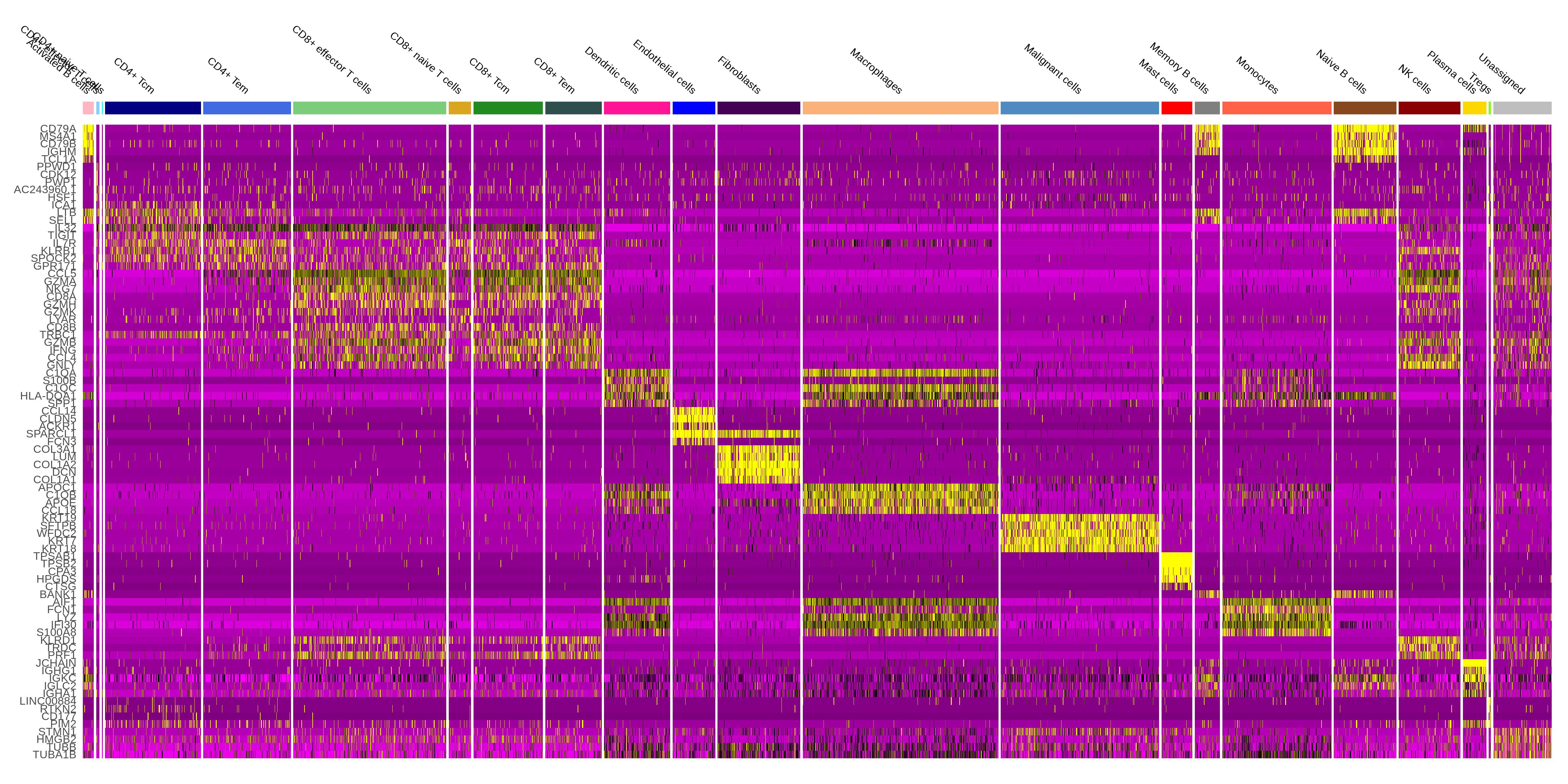 Project Analysis - Cancer Single-cell Expression Map - CNCB-NGDC