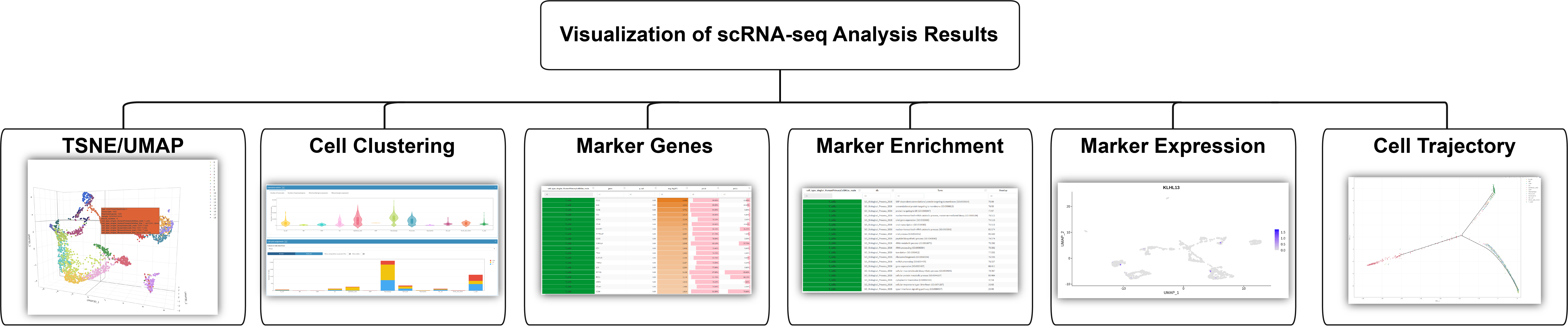 GEN Tools - Gene Expression Nebulas