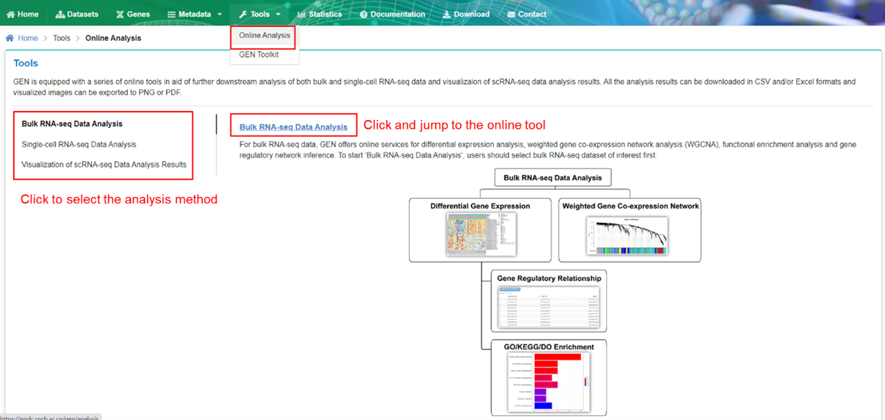 Documentation - Gene Expression Nebulas
