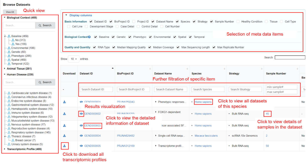 Documentation - Gene Expression Nebulas