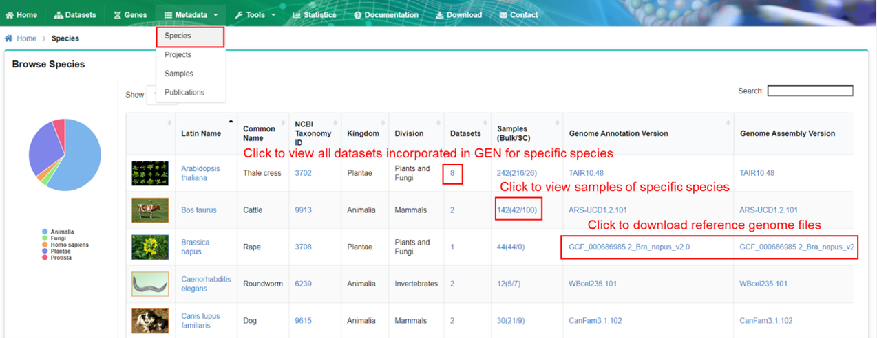 Documentation - Gene Expression Nebulas