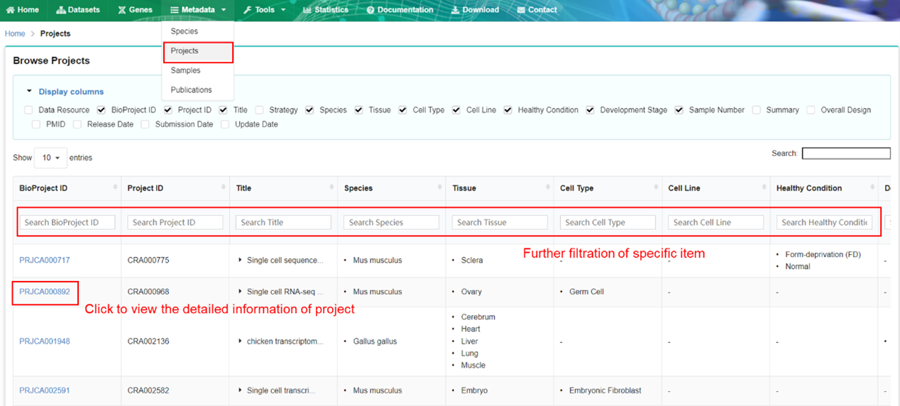 Documentation - Gene Expression Nebulas