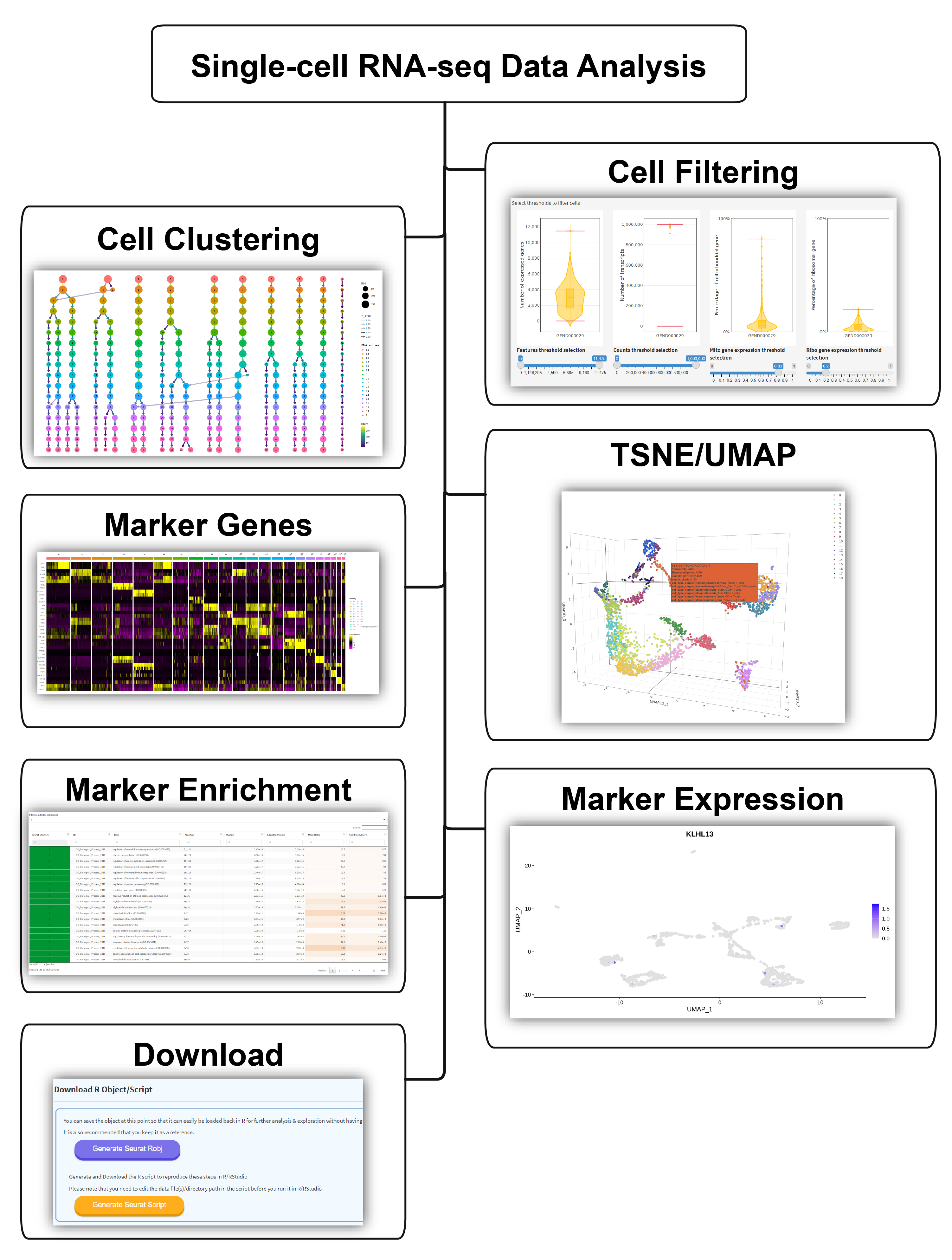 GEN Tools - Gene Expression Nebulas