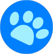 iDog