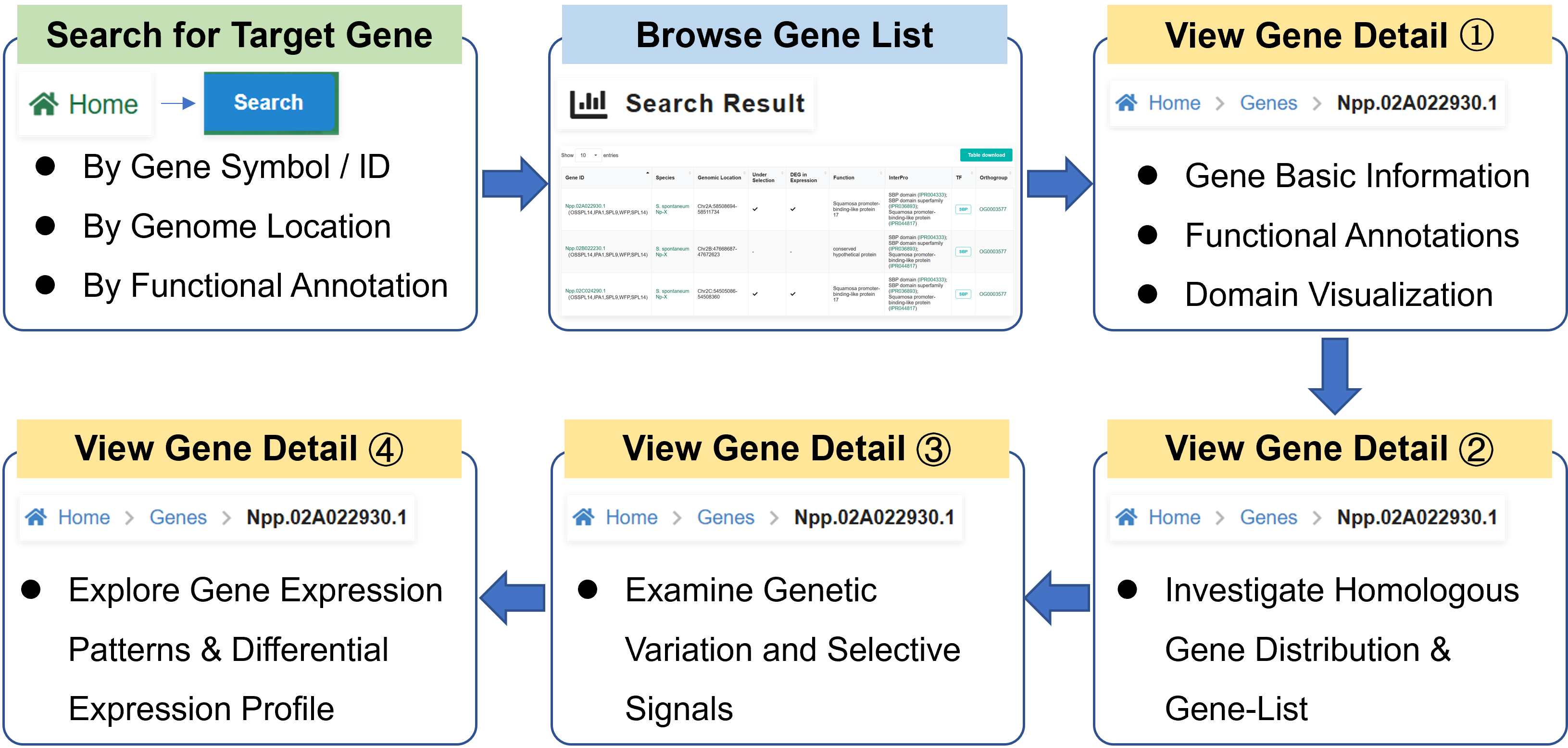 Documentation - The SugarCane multi-Omics Database (SugarcaneOmics)