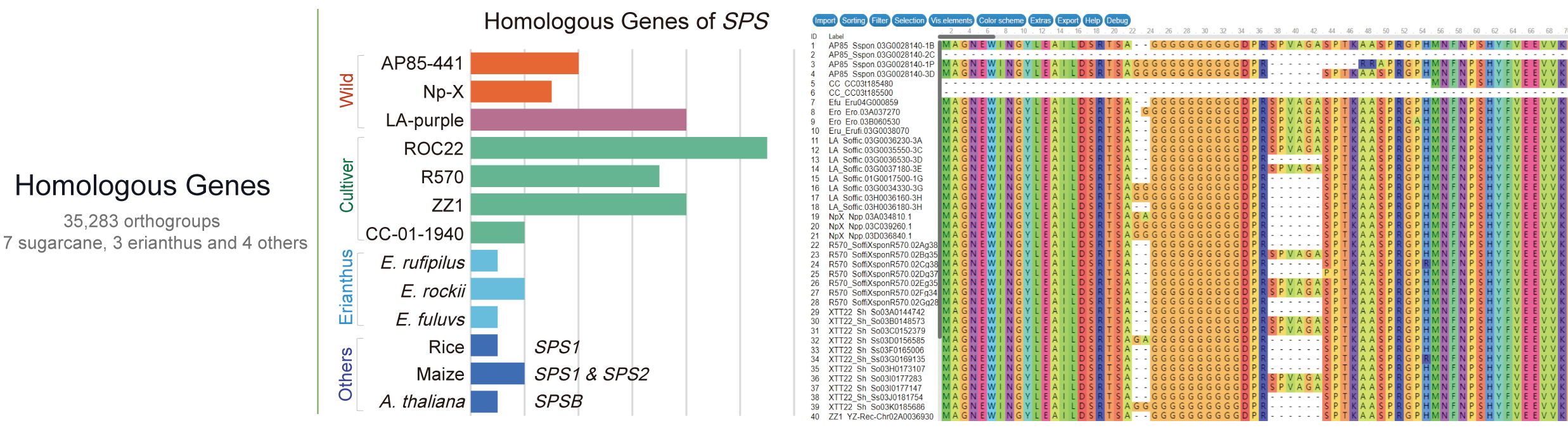 Home - The SugarCane multi-Omics Database (SugarcaneOmics)